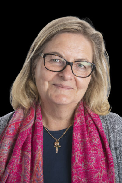 Organisaatio – Snellman Group