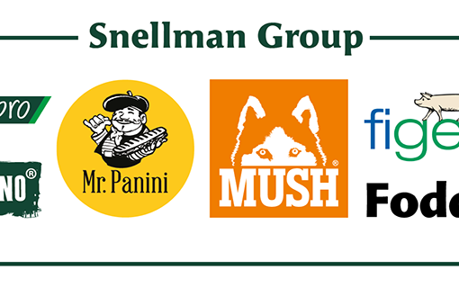 Snellman Group
